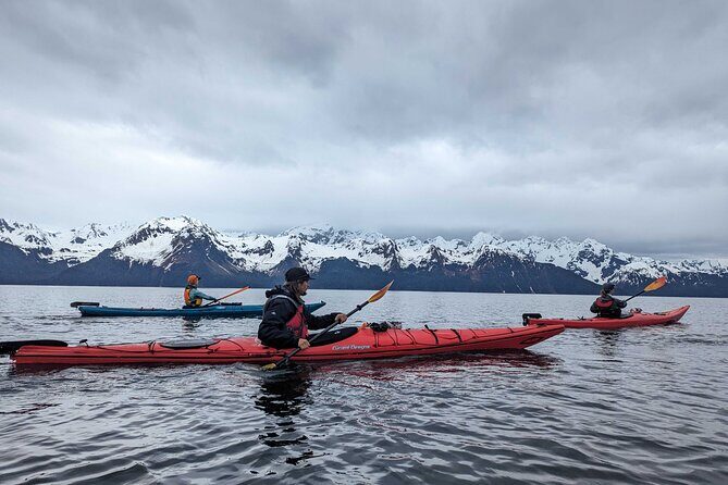 Resurrection Bay Waterfall And Rainforest Adventure - The Sum Up