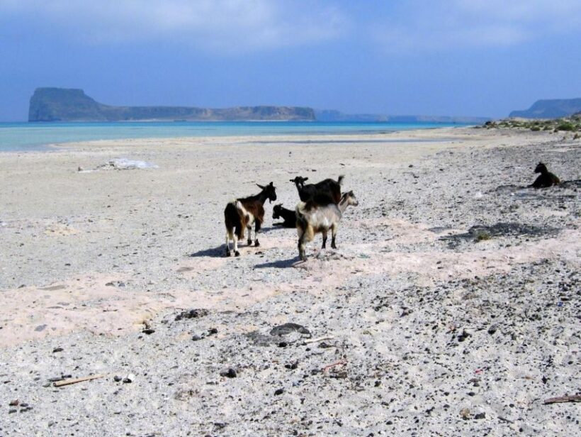 Rethymno: Gramvousa & Balos Lagoon Day Trip with Boat Ticket - Key Points