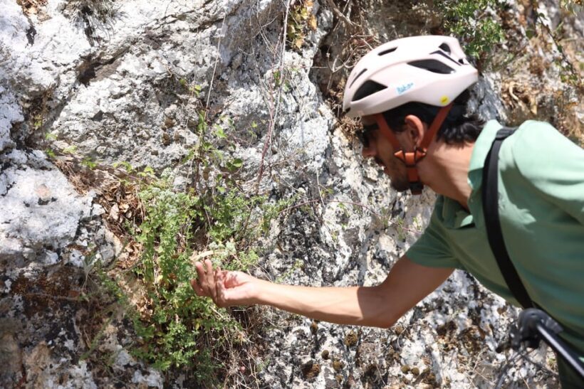 Rethymno: Guided e-Bike tour at Undiscovered Amari valley - Who Will Love This Tour?