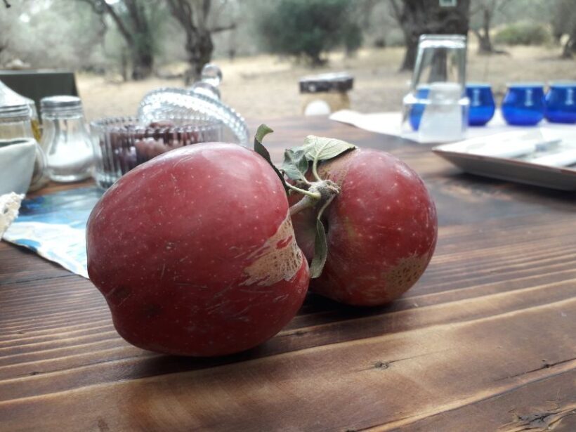 Rethymno: Olive Oil Tasting with Cretan Food Pairing - Authenticity and Why It Matters