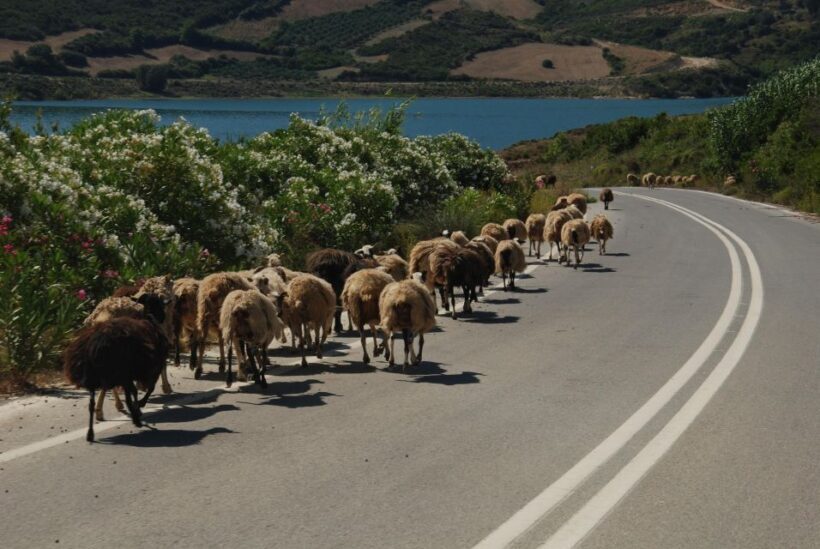 Rethymno | Safari Tour in Private - Who Will Love This Tour?