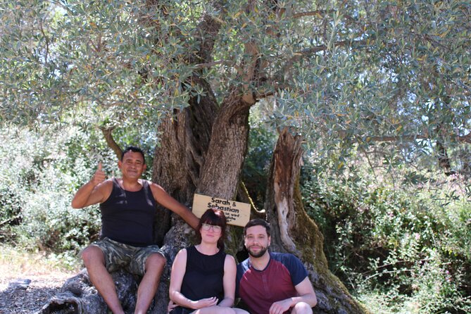 Rethymnon Olive Tree Sponsorship Protect and Plant Tour - What Makes This Tour Special?