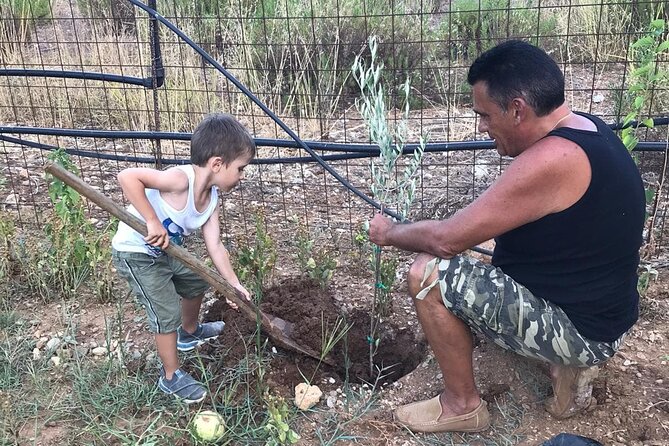 Rethymnon Olive Tree Sponsorship Protect and Plant Tour - Practical Details