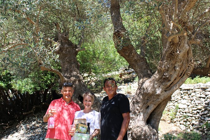 Rethymnon Olive Tree Sponsorship Protect and Plant Tour - Final Thoughts: Is This Tour Right for You?
