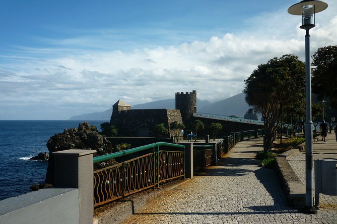 Return to Madeira Island in 2 days - Who Should Consider This Tour?