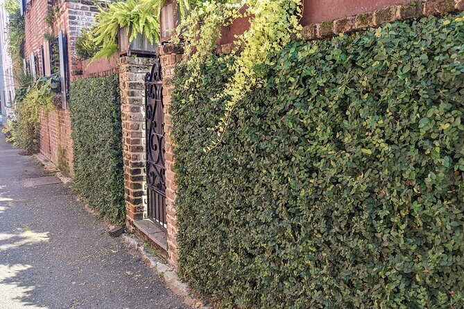 Revolutionary Charleston Walks - Ghost Tour - Overall Value and Who It’s For