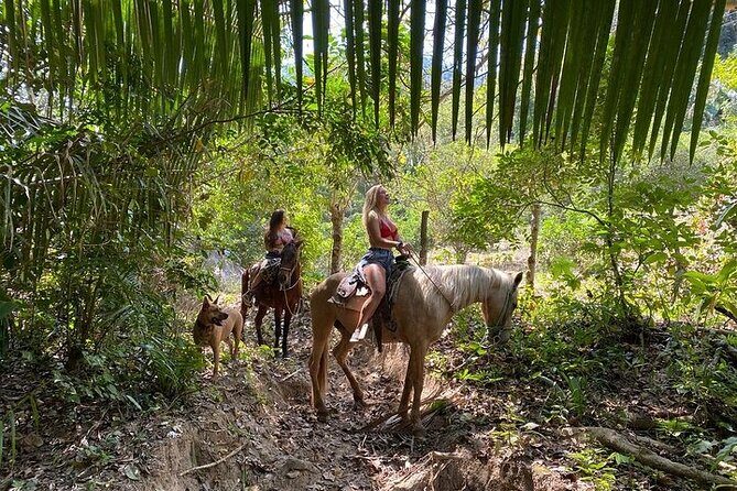 Rey Spearo - Enchanting And Romantic Custom Created Tours - Key Points