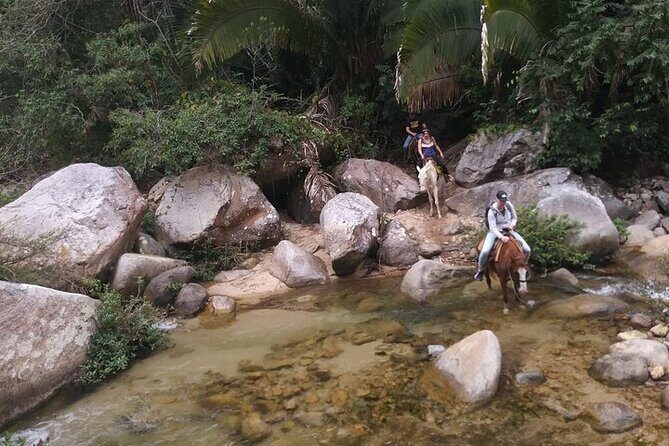 Rey Spearo - Enchanting And Romantic Custom Created Tours - Analyzing the Value and Practical Details