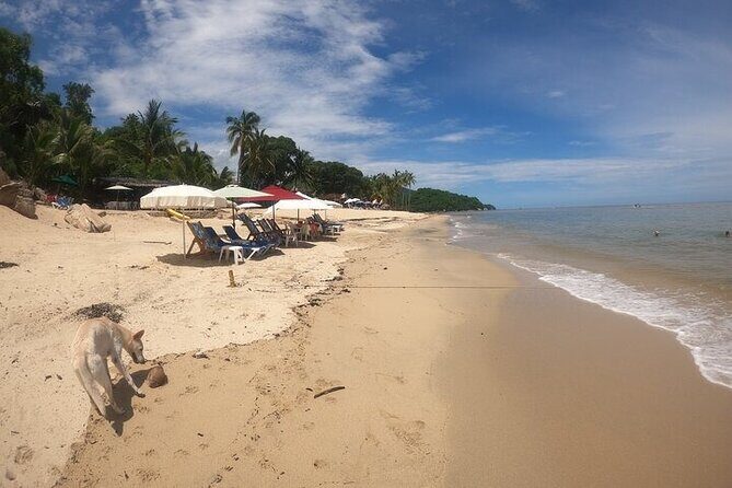 Rey Spearo - Enchanting And Romantic Custom Created Tours - Who Will Love This Tour?