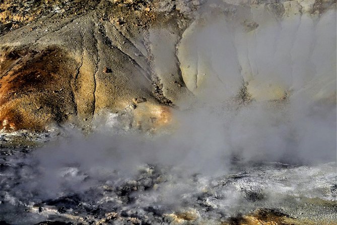 Reykjanes Peninsula- Geopark and Much More. Private Tour - Health and Safety Information