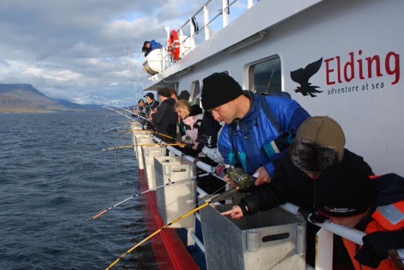 Reykjavik: 3-Hour Sea Angling Gourmet Experience Tour - FAQs