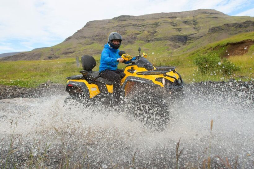 Reykjavik: ATV Ride & Whale Watching Boat Tour - Key Points