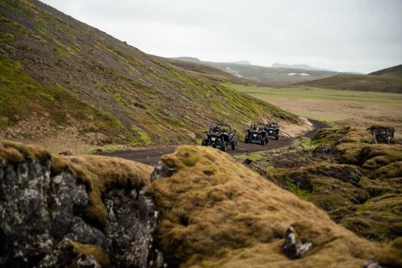 Reykjavik: Buggy Adventure & Northern Lights - What to Know Before You Go