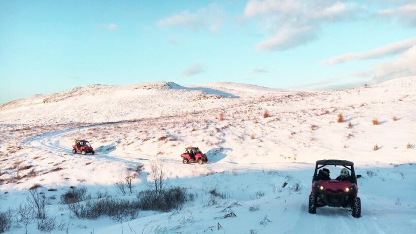 Reykjavik: Buggy Safari Tour with Hotel Transfers - The Bumpy Ride: What You’ll Experience