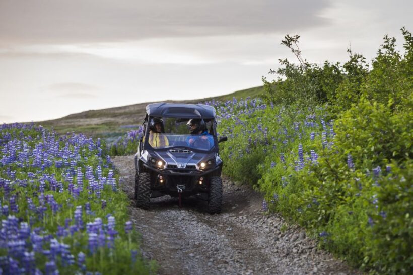 Reykjavik: Buggy Safari Tour with Hotel Transfers - Who Should Consider This Tour?