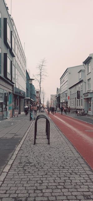 Reykjavik City private tour: Hallgrímskirkja, Perlan & More! - Discover Reykjavik’s Charms on a Private Tour