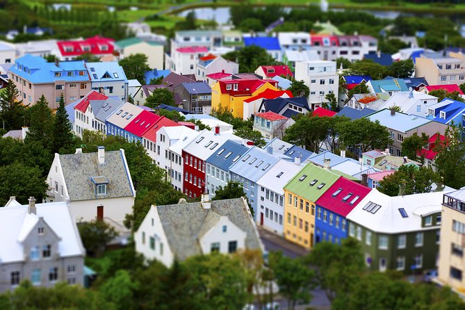 Reykjavik City Walking Tour - What to Expect During the Tour