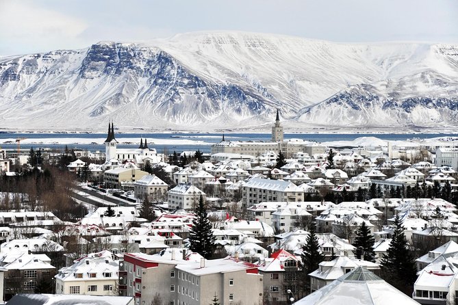 Reykjavik City Walking Tour - Practical Information for Participants