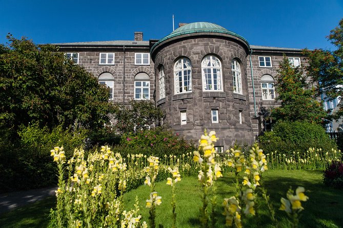 Reykjavik City Walking Tour - Traveler Experiences and Feedback