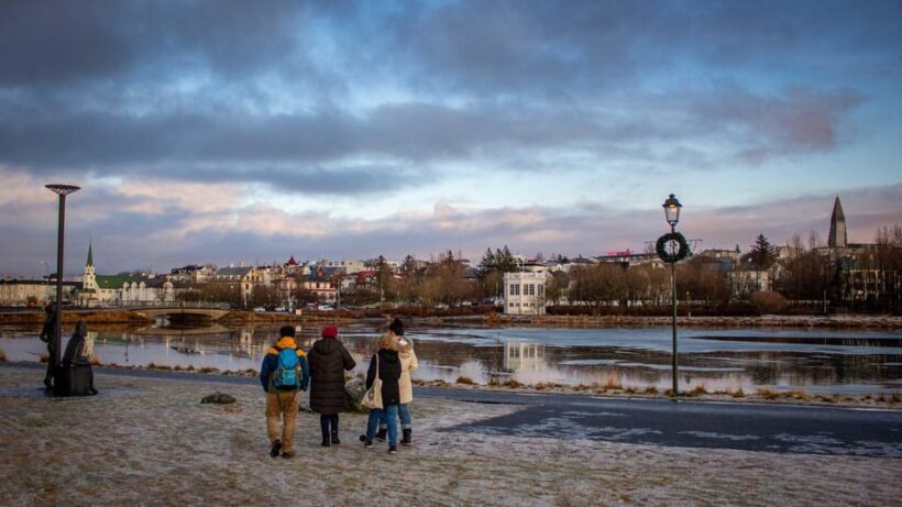 Reykjavik: Discover the Cultural Soul of Iceland - Who Should Consider This Tour?