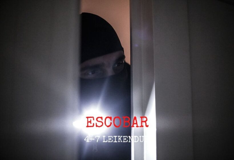 Reykjavik: Escobar Private Themed Escape Room Experience - The Value of the Experience