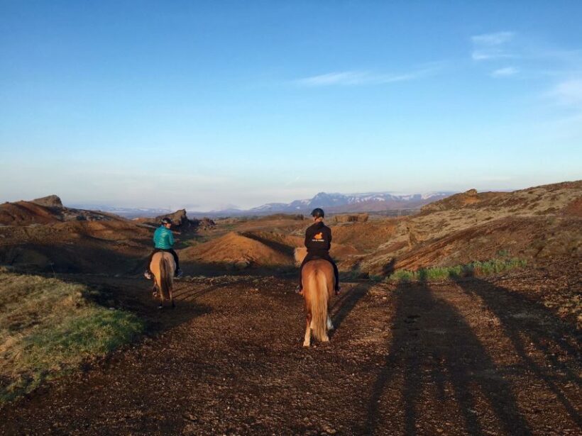 Reykjavik: Evening Sleipnir Horse Riding Tour with Pickup - Introduction: Getting to Know the Experience