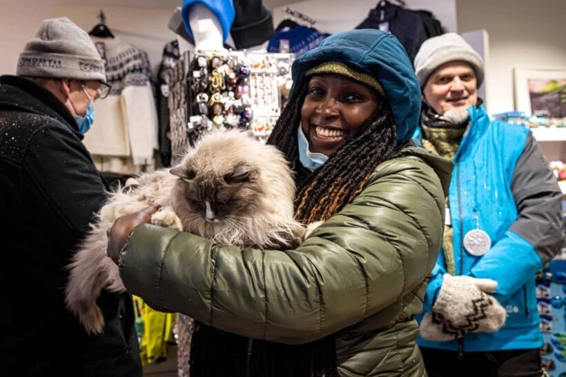 Reykjavik: Feline-Focused City Walking Tour - What Makes This Tour a Great Value