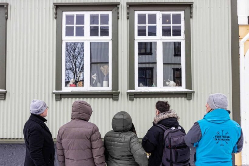 Reykjavik: Feline-Focused City Walking Tour - Authentic Experiences and Honest Impressions