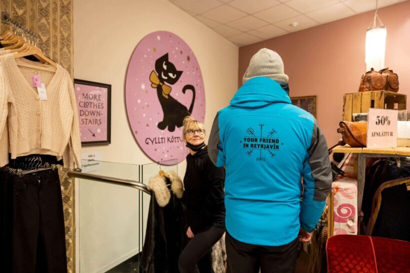 Reykjavik: Feline-Focused City Walking Tour - Who Will Love This Tour?