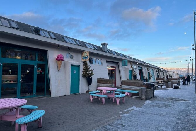 Reykjavik Food Tour - Old Harbor Walking Tour - Learning About Icelands Fishing Industry