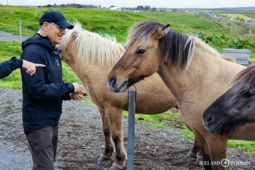 Reykjavik: Golden Circle with Laugarvatn Fontana Admission - Exploring the Golden Circle with Laugarvatn Fontana Admission: A Balanced Look