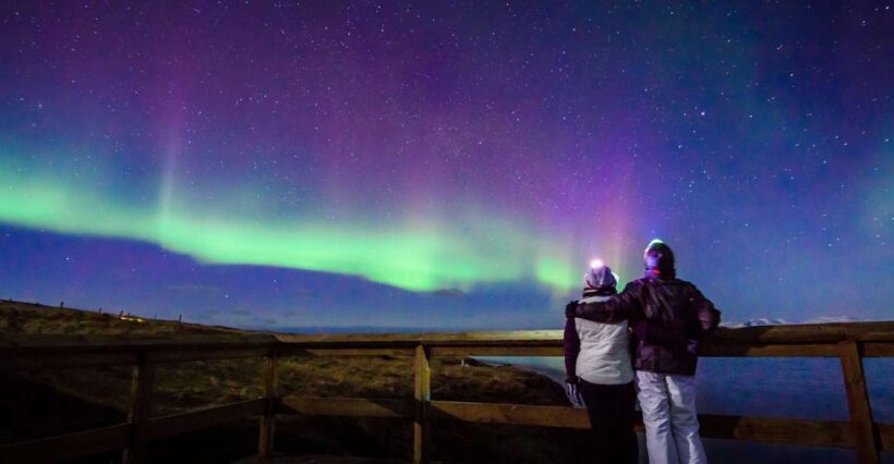 Reykjavík: Group Northern Lights Tour with Pics & Hot Cocoa - The Itinerary: Step-by-Step