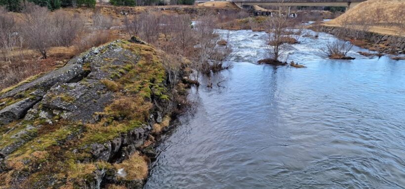 Reykjavik Hidden gems - Private - Half Day tour - with local - Starting Point and Transportation