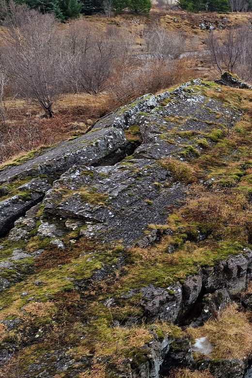 Reykjavik Hidden gems - Private - Half Day tour - with local - Scenic Coastal Views and Local Landmarks