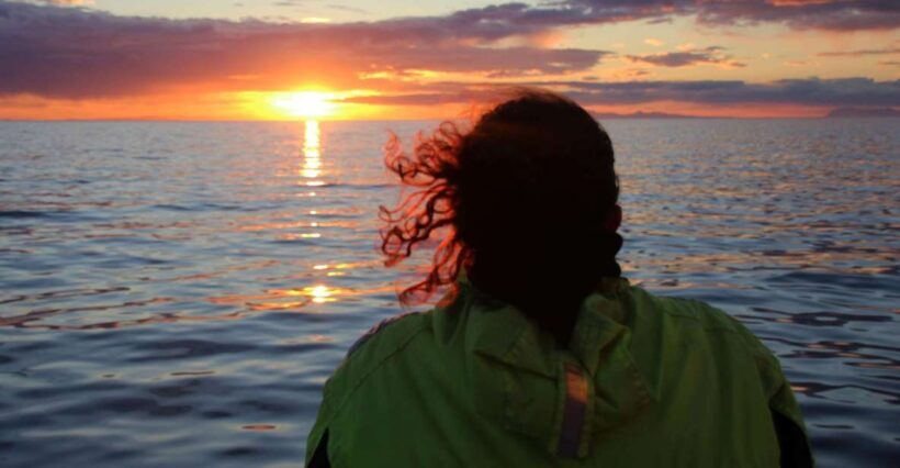 Reykjavík: Midnight Sun Whale Watching Cruise - The Itinerary in Detail