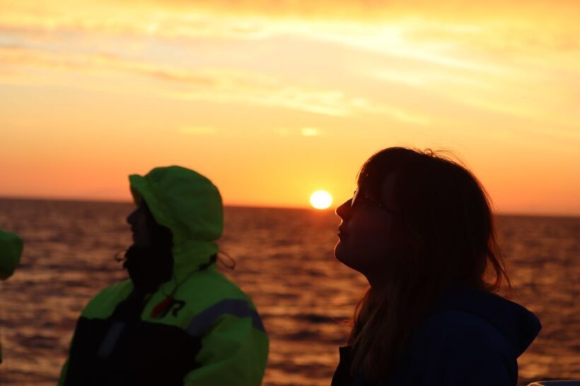 Reykjavík: Midnight Sun Whale Watching Cruise - The Sum Up