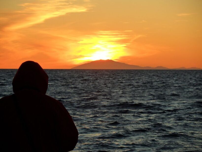Reykjavik: Midnight Sun Whale Watching Tour - Key Points
