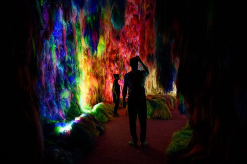 Reykjavík: Multi-Sensory Art Installation Chromo Sapiens - The Value and Who Should Visit