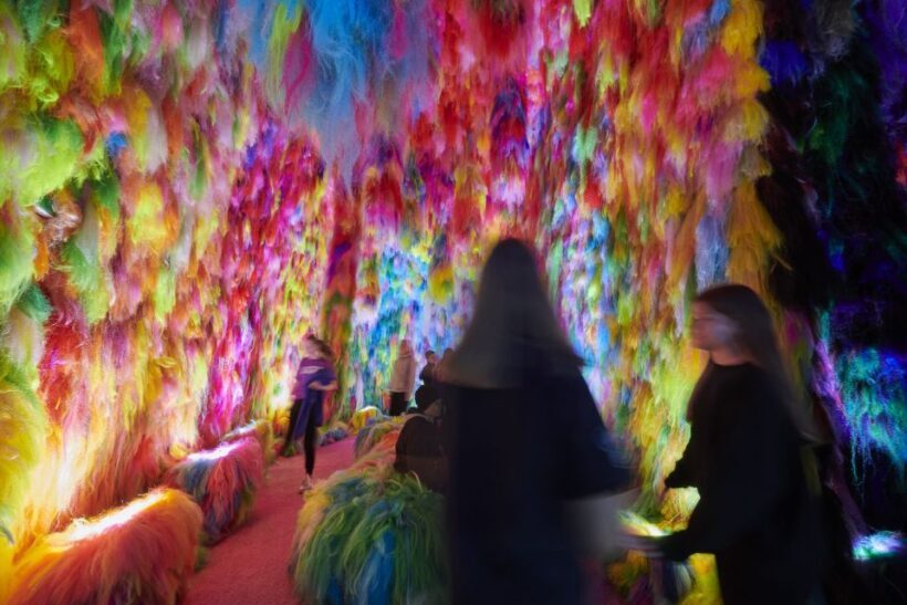 Reykjavík: Multi-Sensory Art Installation Chromo Sapiens - FAQ