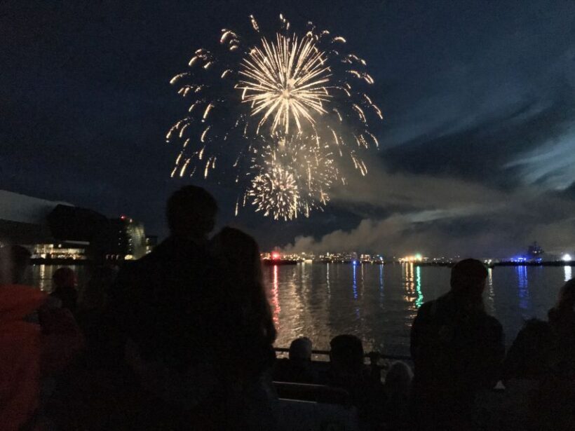 Reykjavik: New Year's Eve Fireworks Cruise - Who Will Love This Experience?