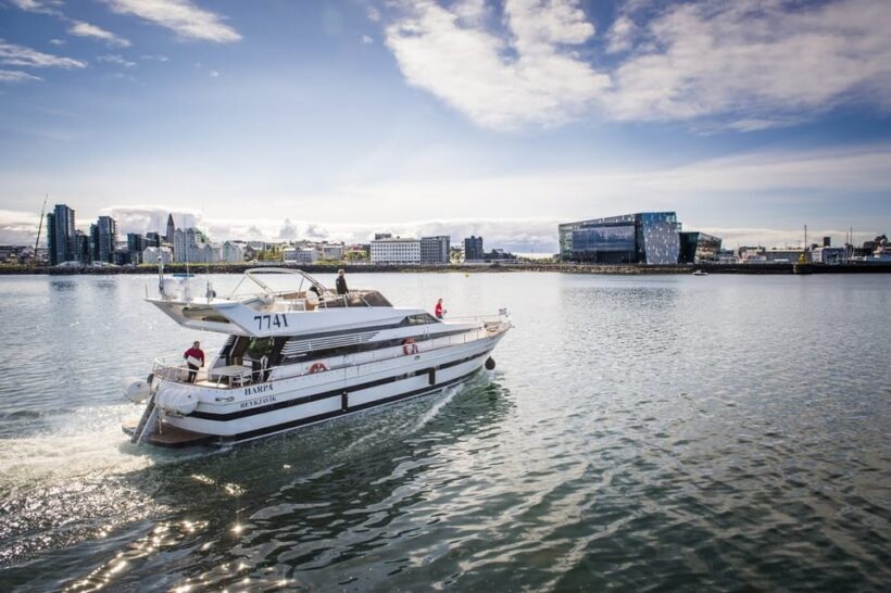 Reykjavík: New Year's Eve Northern Lights Yacht Cruise - Key Points