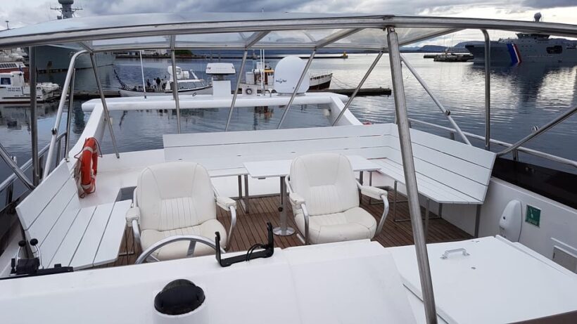 Reykjavík: New Year's Eve Northern Lights Yacht Cruise - Authentic Reviews Spotlight