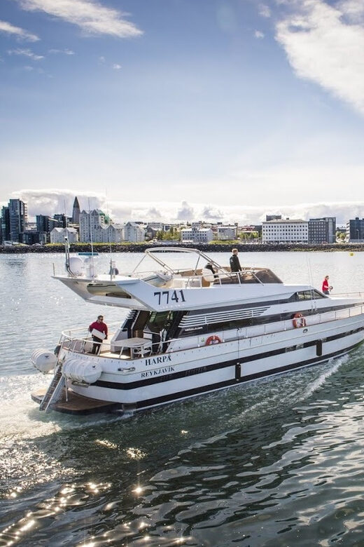 Reykjavík: New Year's Eve Northern Lights Yacht Cruise - The Sum Up