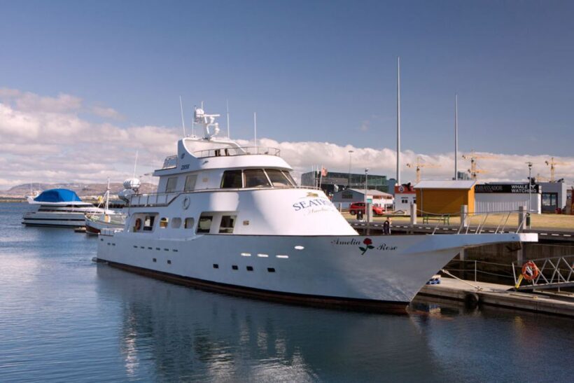 Reykjavik: New Years Fireworks Midnight Cruise - FAQ