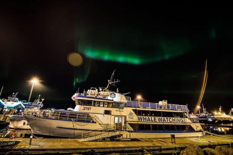 Reykjavik: Northern Lights Guided Boat Tour - Who Should Consider This Tour?