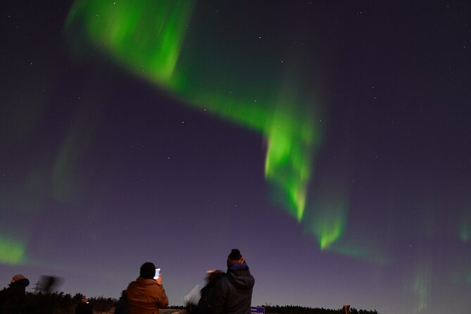 Reykjavik: Northern Lights Tour - Pro Aurora Photos - Small Group - Guides and Customer Service