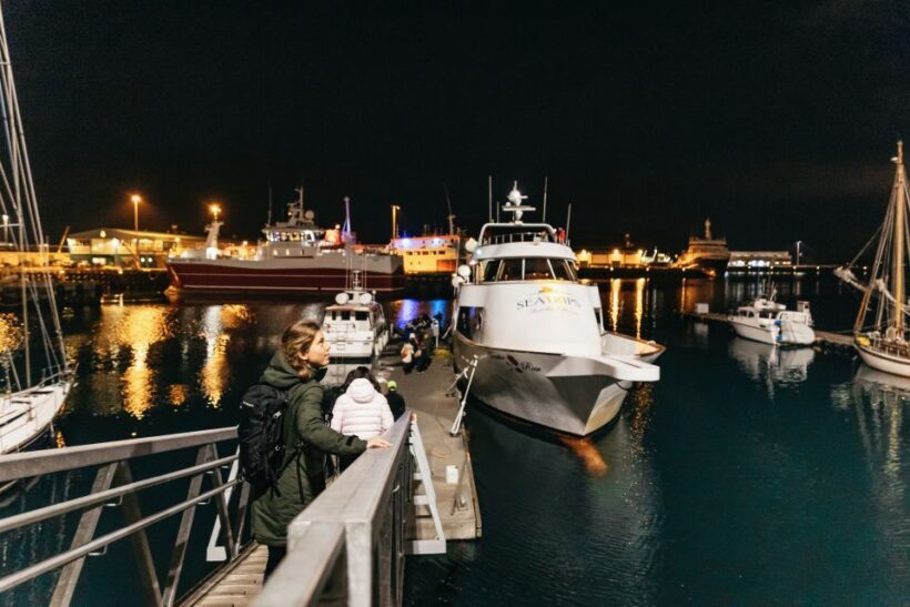 Reykjavik: Northern Lights Yacht Tour - What to Expect