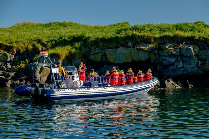 Reykjavik Premium Puffin Tour | Close up and Personal - Safety and Comfort