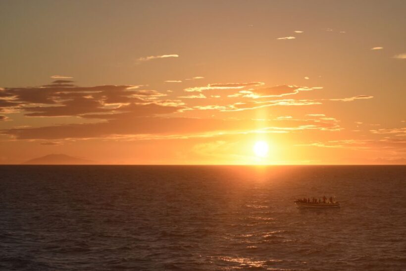 Reykjavik: Premium Whale and Puffin Watching Evening Tour - Starting Point and Logistics