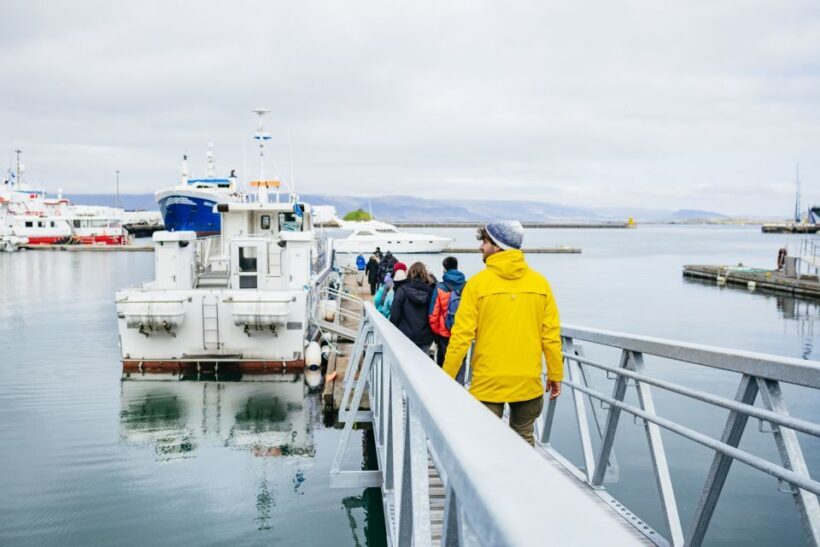Reykjavik: Puffin Watching Boat Tour - The Guides and Crew